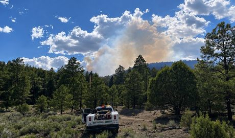Bear Fire Burning in Gila National Forest - Las Cruces Today